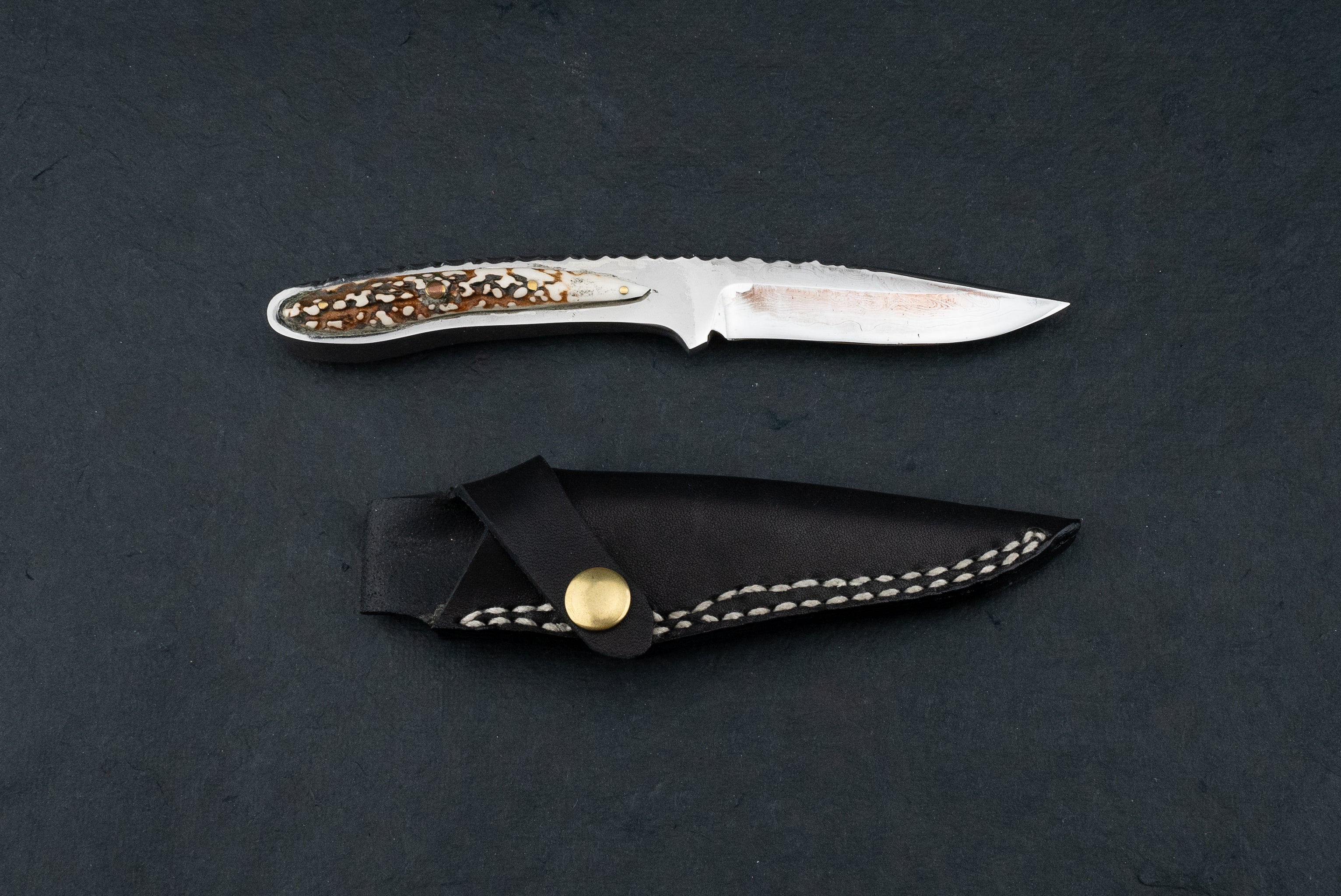 Ken Kageura Aogami Damascus with Antler Handle and Jimping Hunting Kni ...
