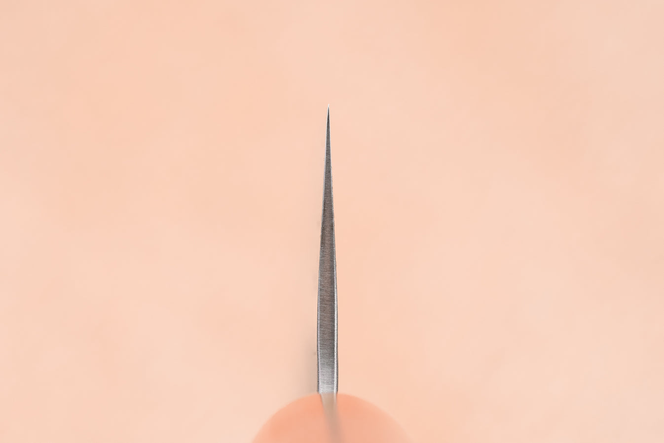 Haruyuki Nishiki Gyuto 210mm – Knifewear - Handcrafted Japanese Kitchen ...