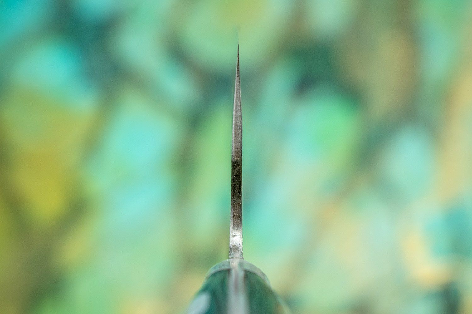 Fujiwara Western Denka Gyuto 210mm - Knifewear - Handcrafted Japanese ...